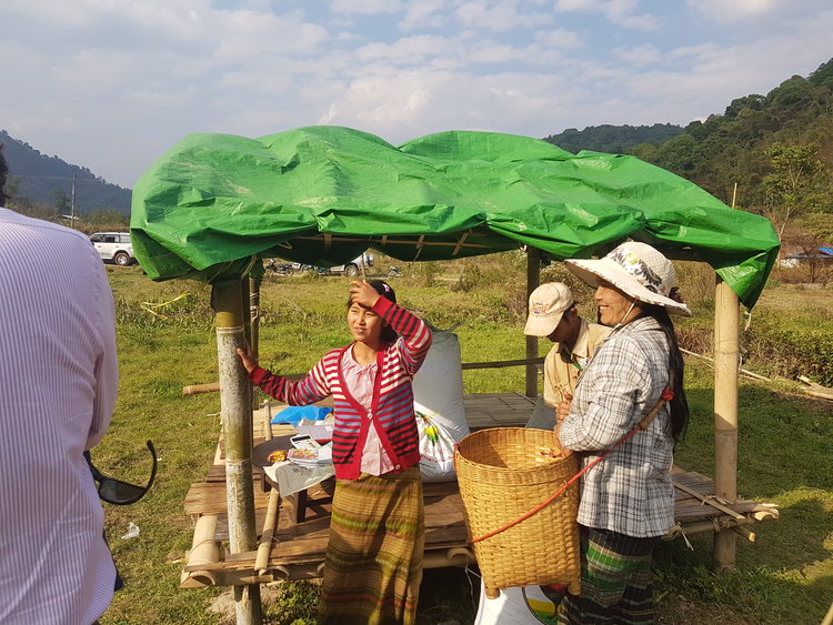 The Royal Rawness Coffee Roasters | Fresh Roasted Coffee Beans